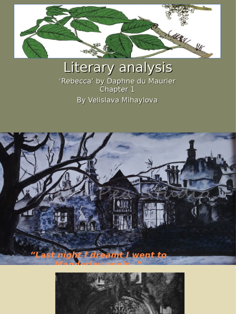 Rebecca Sample Analysis Ch 1 | PDF