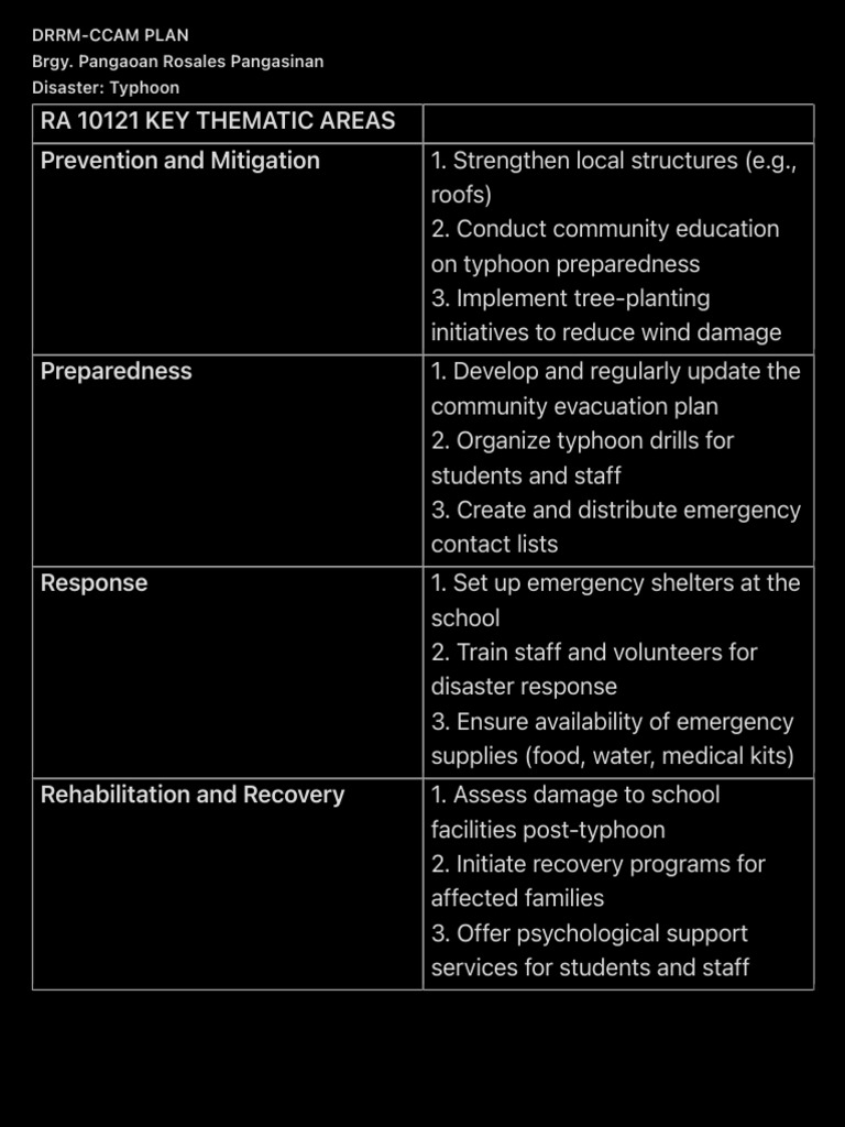 DRRM-CCAM PLAN | PDF