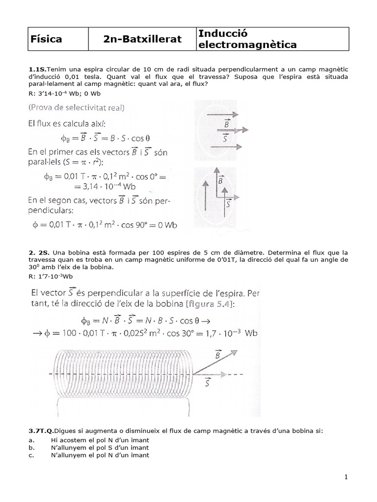 Exercicis Inducció I Sele Resolts 25 | PDF