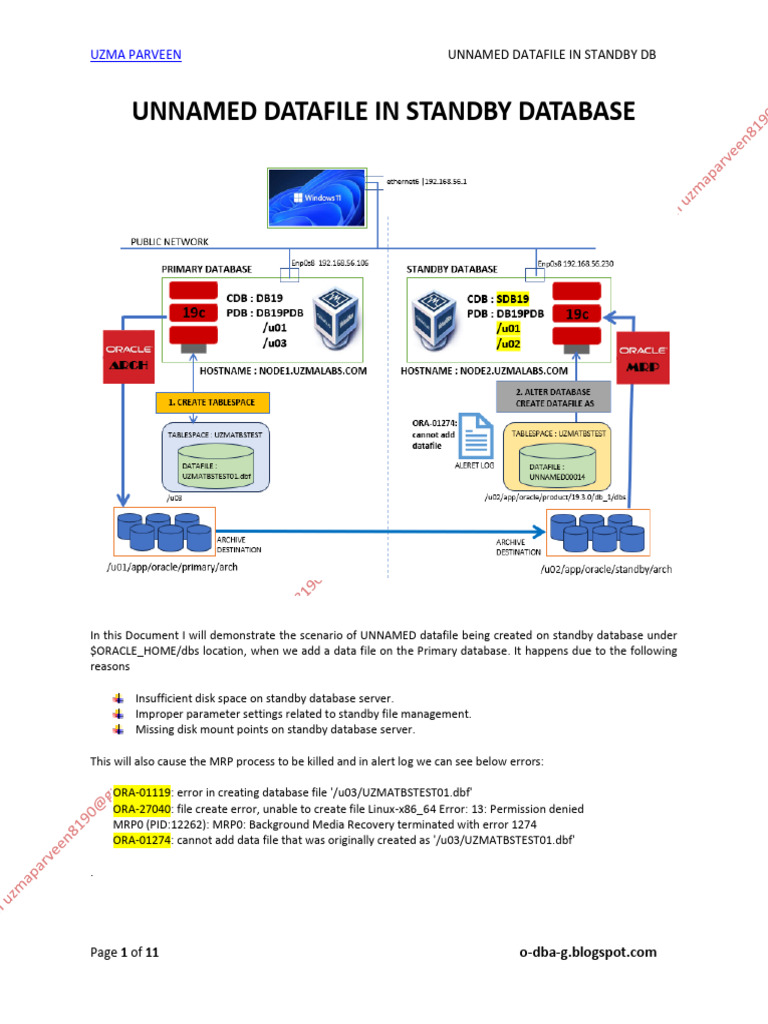 Unnamed Datafile in Standby Database | PDF | Databases | Data
