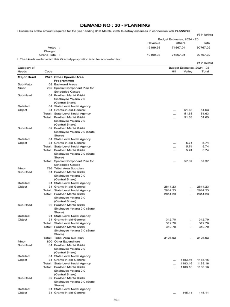 Planning Budget Estimates 2024-25 | PDF | Economies