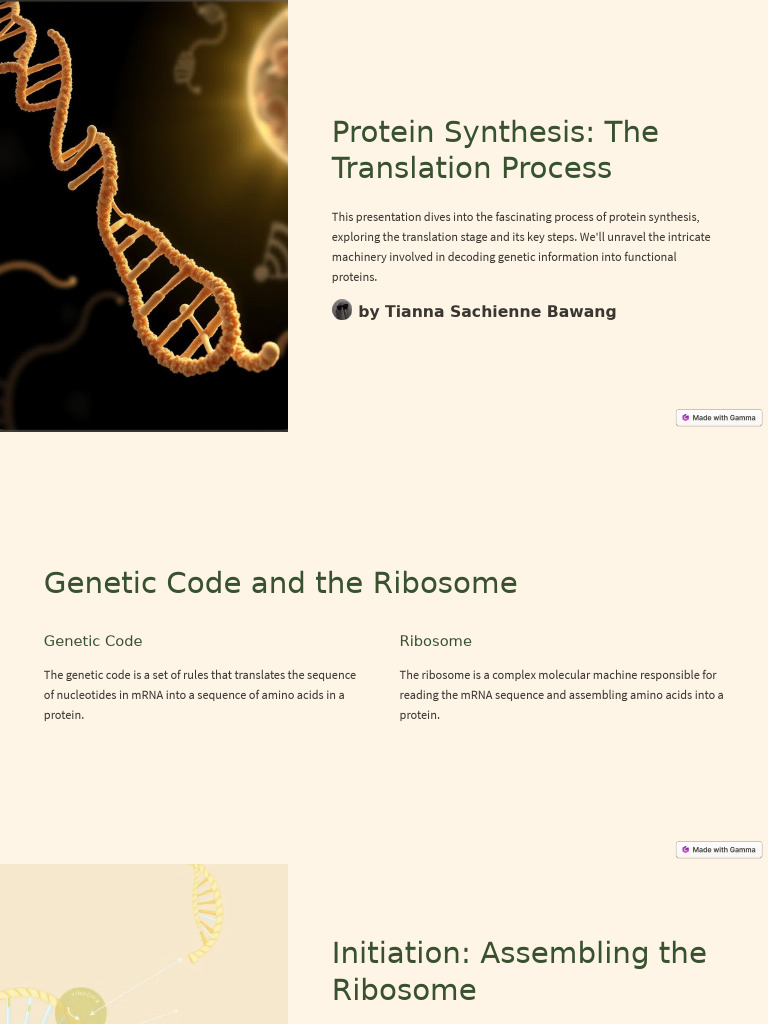 Protein Synthesis The Translation Process | PDF