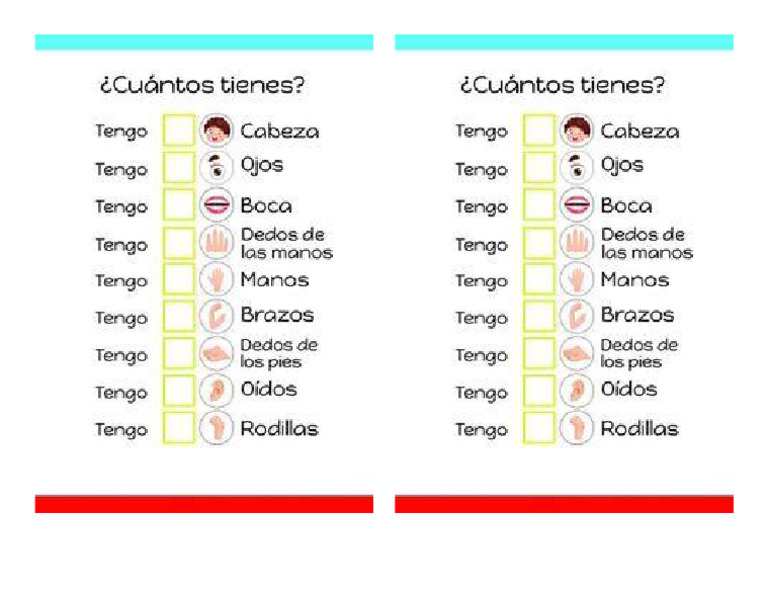 partes del cuerpo_relacionar con el numero | PDF