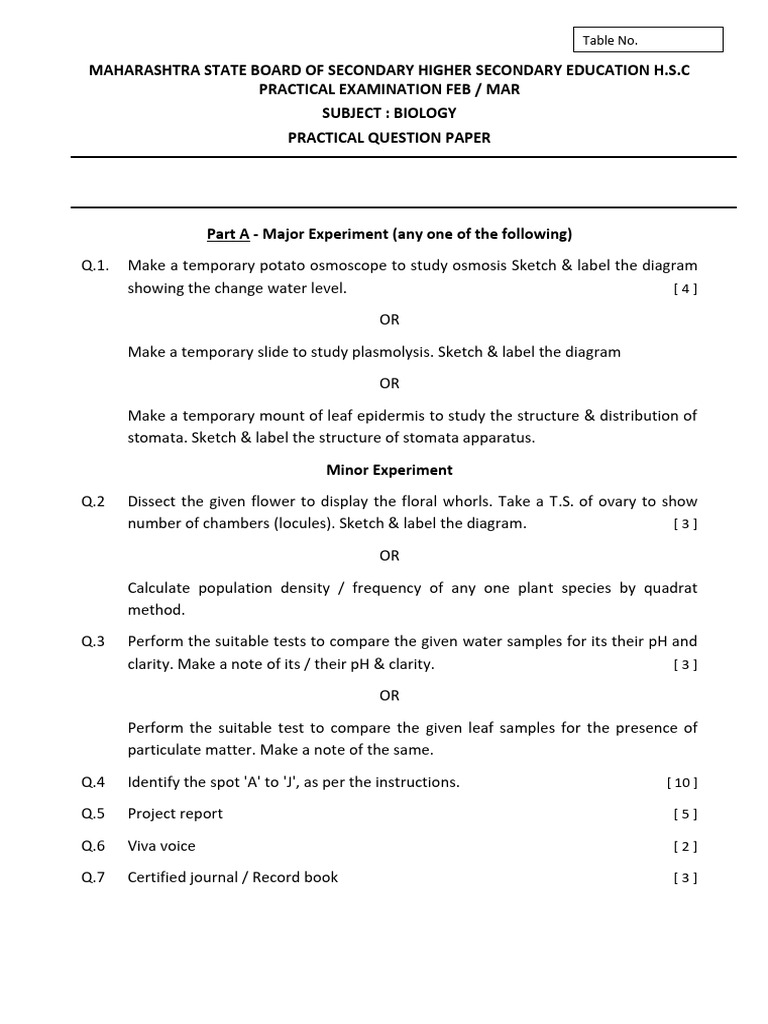Board Practical QP | PDF