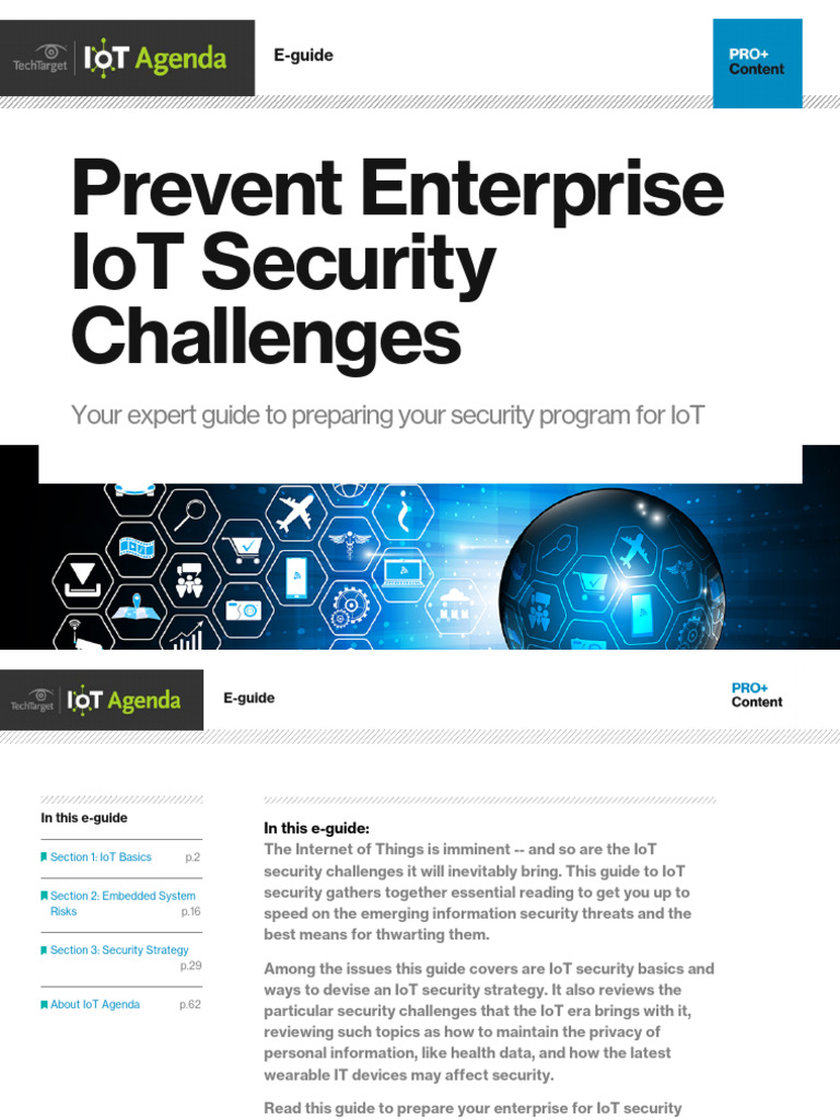 Prevent Enterprise IoT Security Challenges | PDF | Internet Of Things | Computer Security