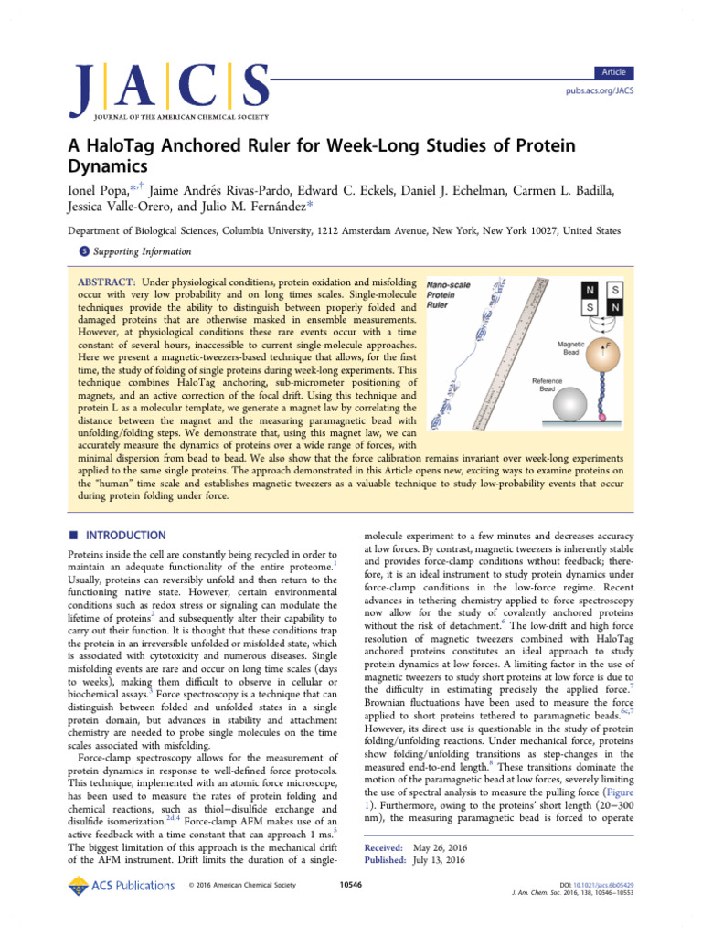 Popa Et Al 2016 A Halotag Anchored Ruler For Week Long Studies of ...