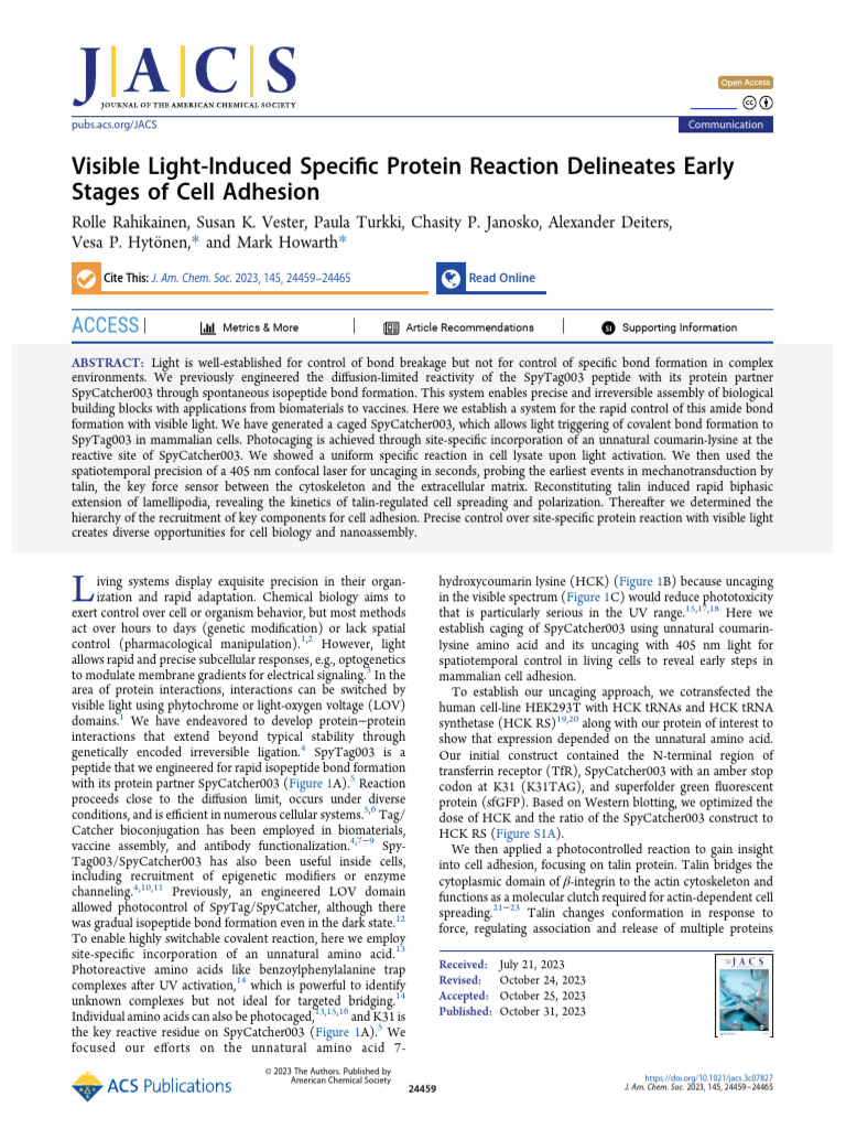 Rahikainen Et Al 2023 Visible Light Induced Specific Protein Reaction ...