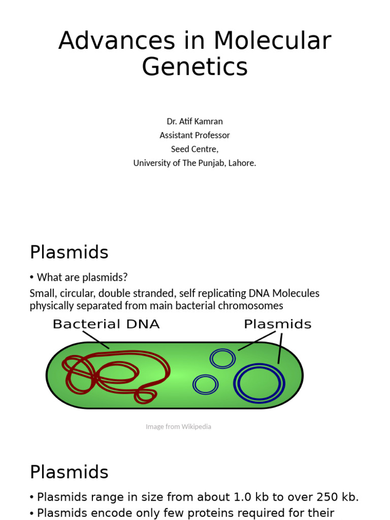 Plasmids Updated 2024 | PDF | Plasmid | Molecular Cloning