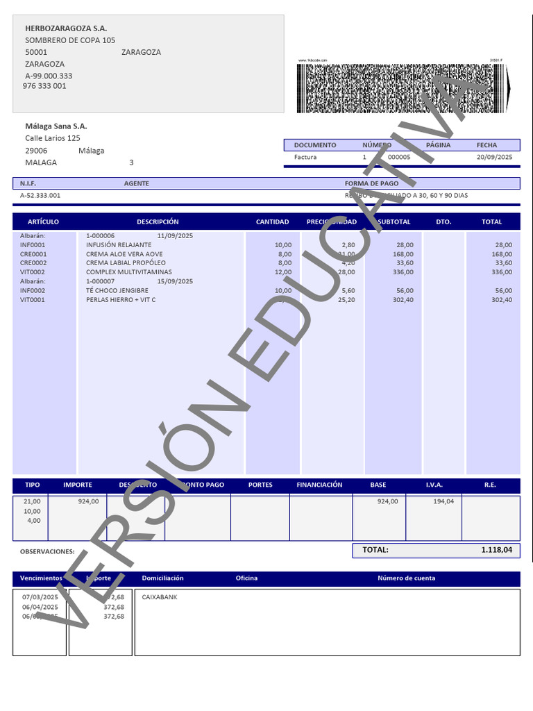Factura 1-000005 | PDF