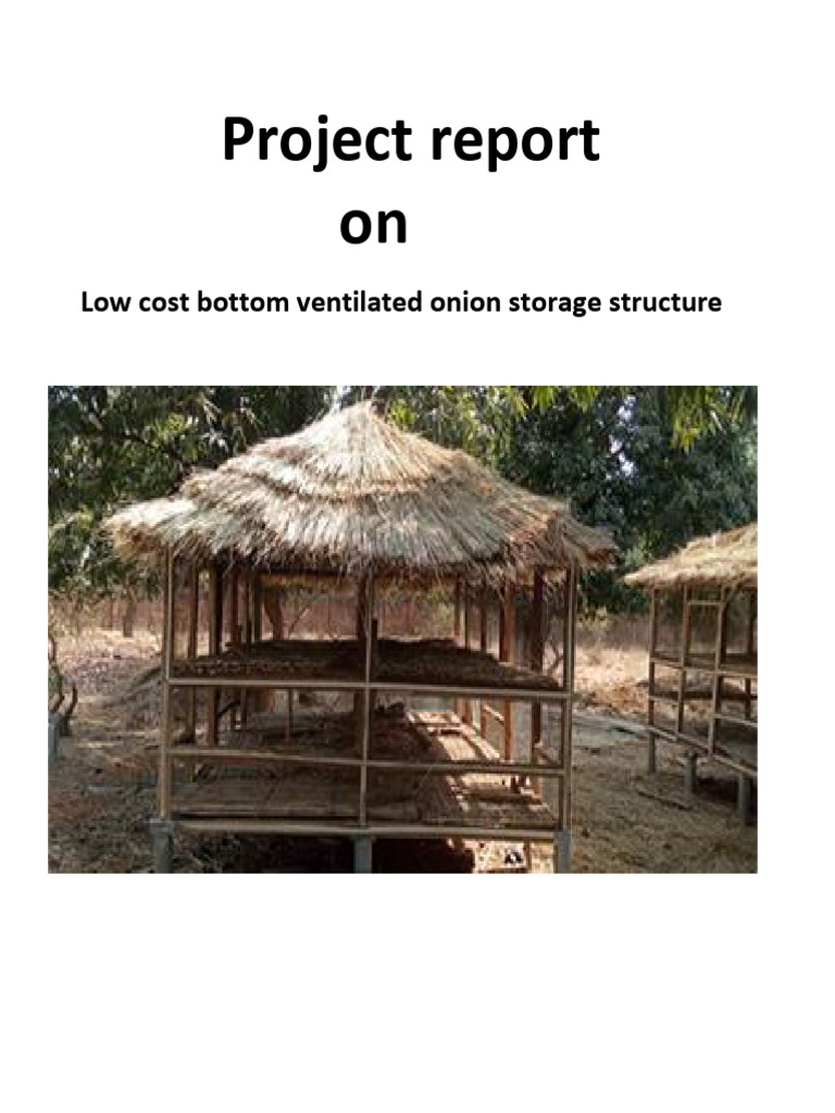 Detailed Mini Onion Store Project Report | PDF | Humidity | Onion