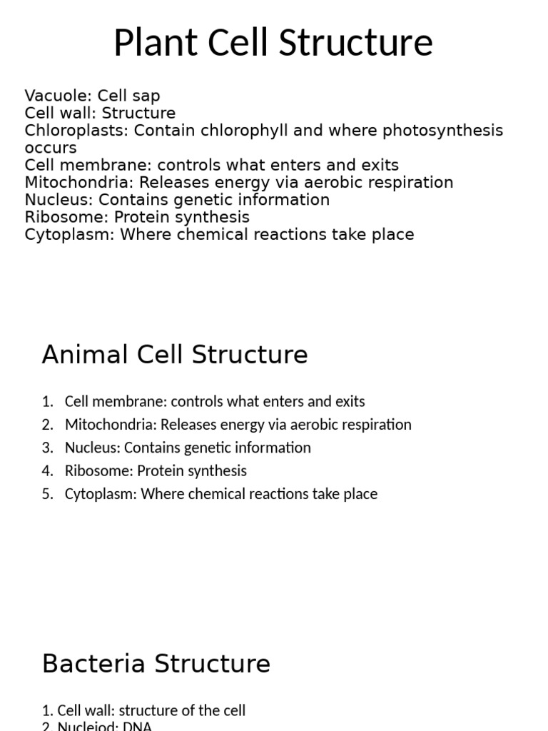 GCSE Biology Flashcards | PDF | Atrium (Heart) | Lung
