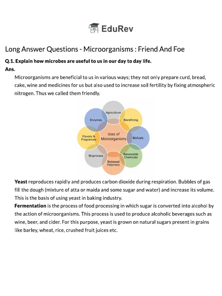 Long Answer Questions - Microorganisms - Friend and Foe - Science Class ...