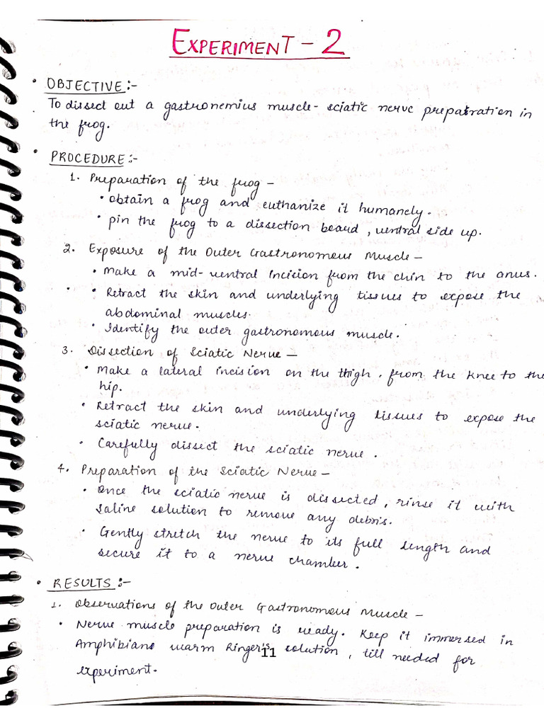 Amphibia Experiments (2to5) | PDF