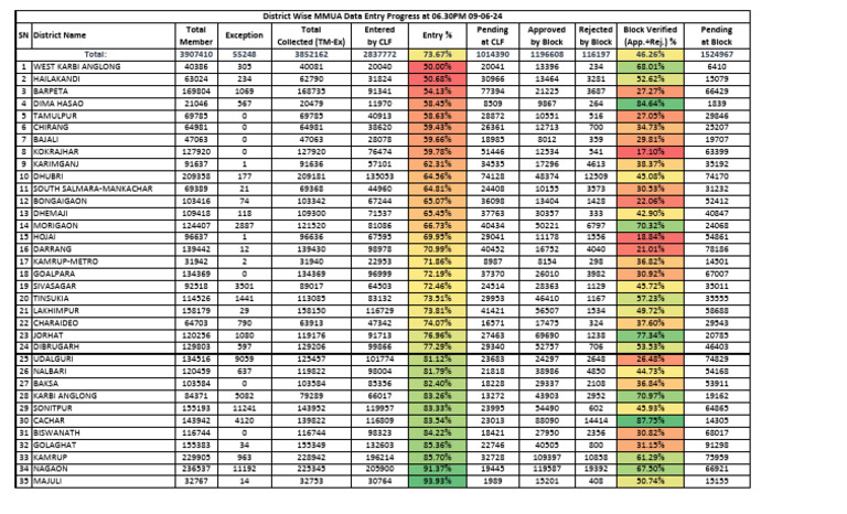 Data Entry Progress Report | PDF