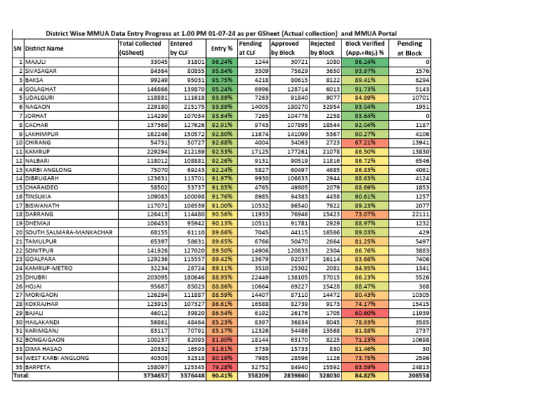 MMUA District Data Entry Progress | PDF