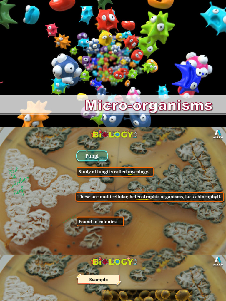 11 June Microbes 8AE Lecture 2 | PDF | Fungus | Virus