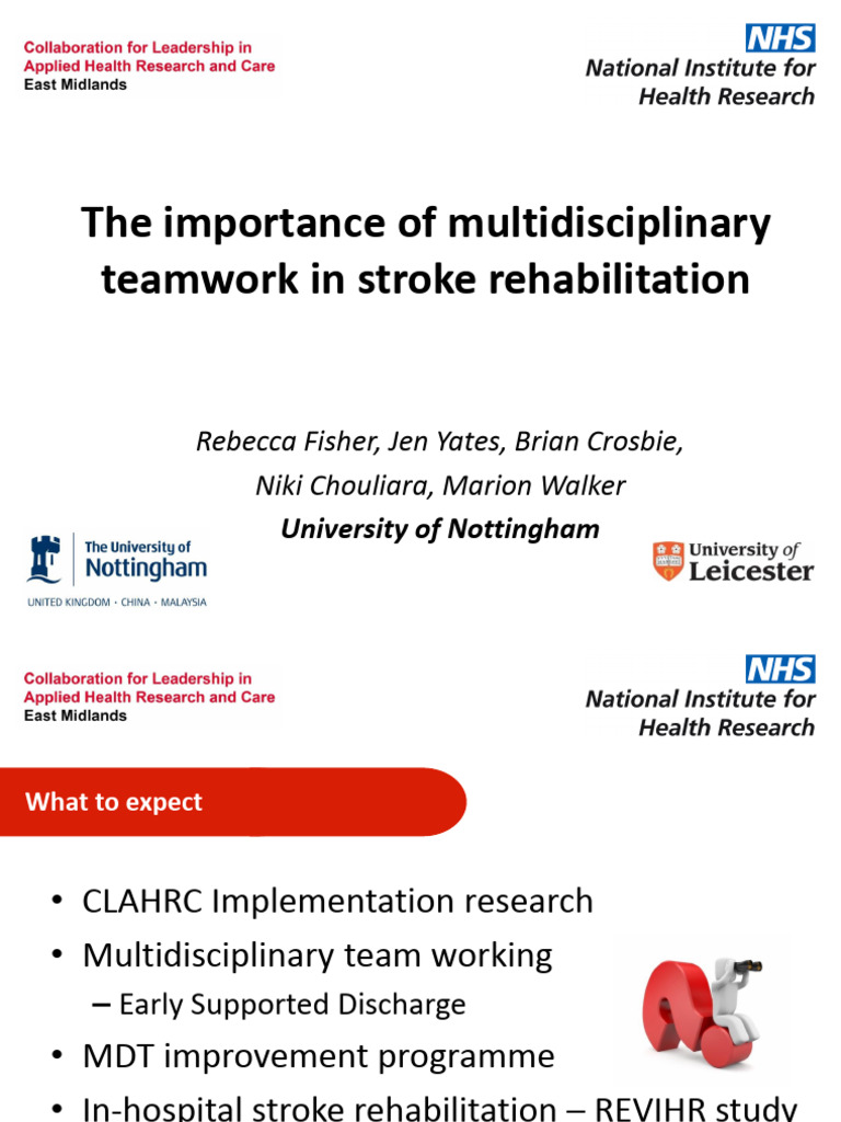Teamwork in Stroke Rehabilitation | PDF | Physical Therapy | Stroke