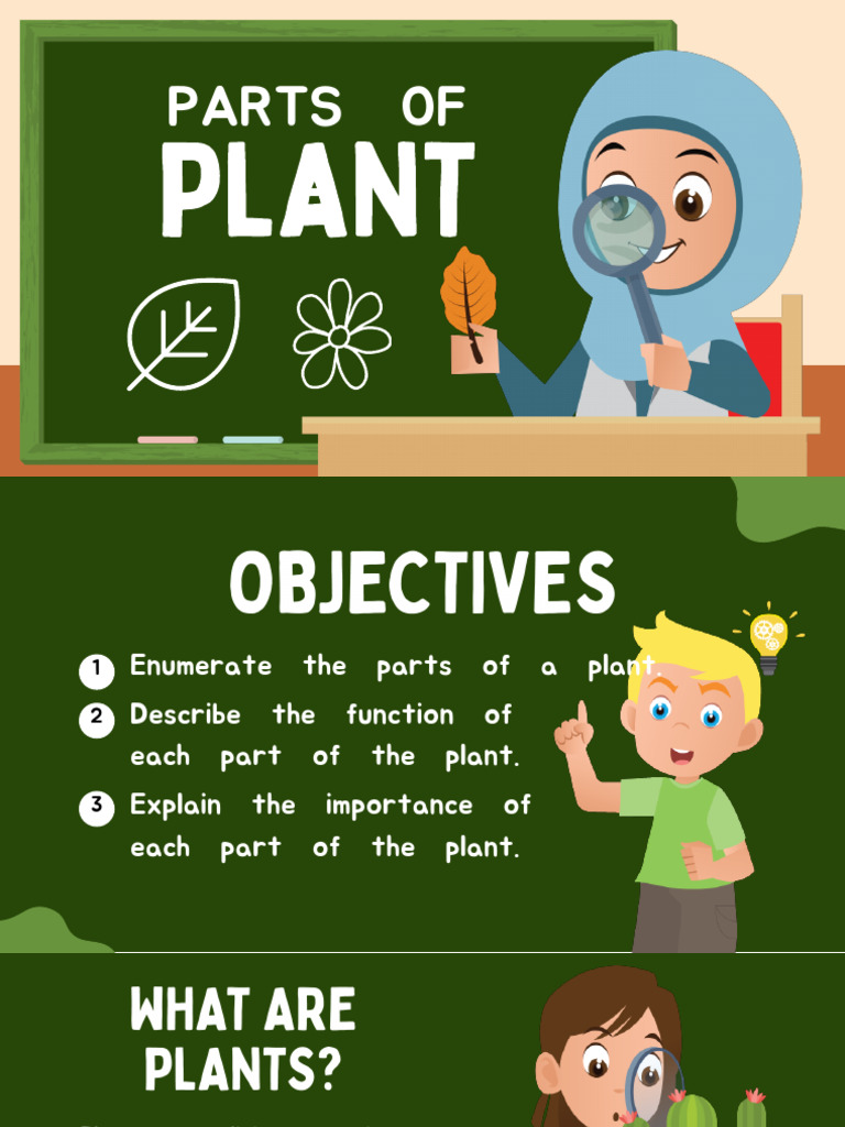 Plant Parts and Their Functions Explained | PDF
