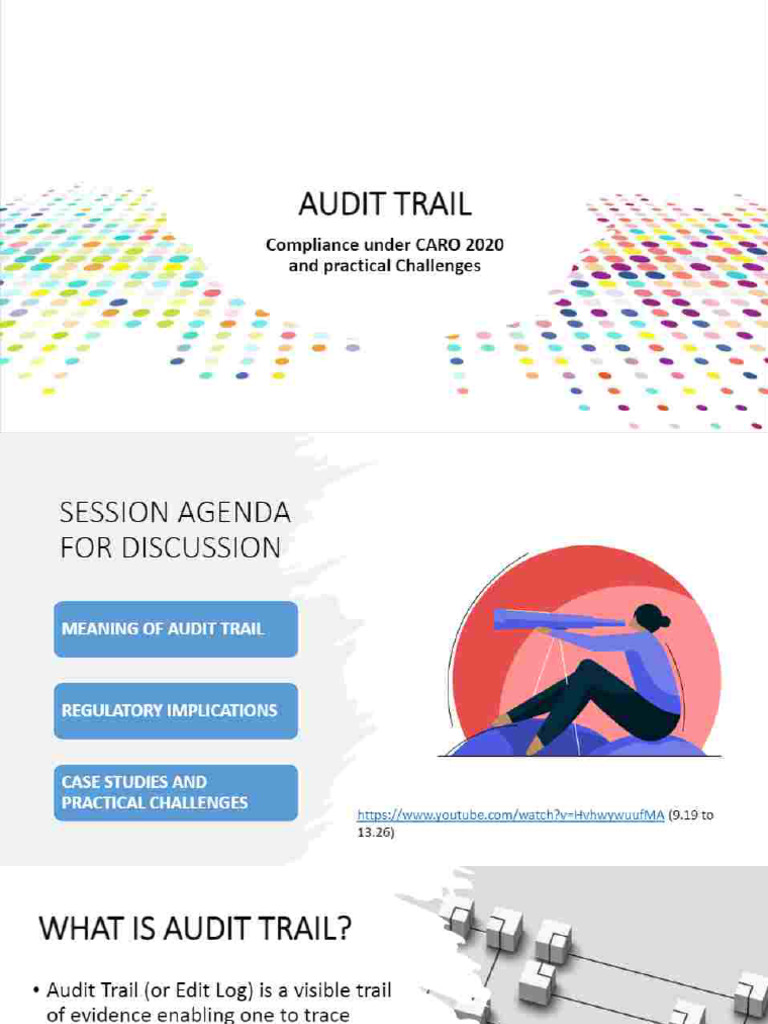 Session PPT Audit Trail1 | PDF