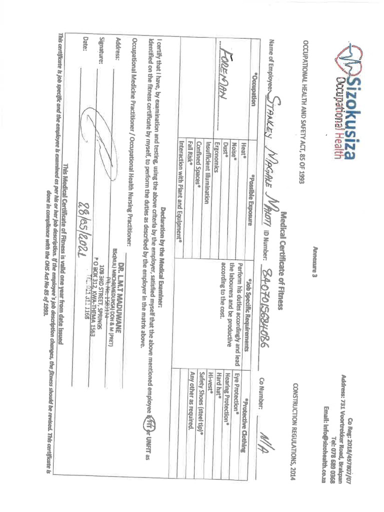 Tooth Canal Reports | PDF