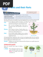 Grade 3 Plants Parts and Their Functions | PDF | Flowers | Petal