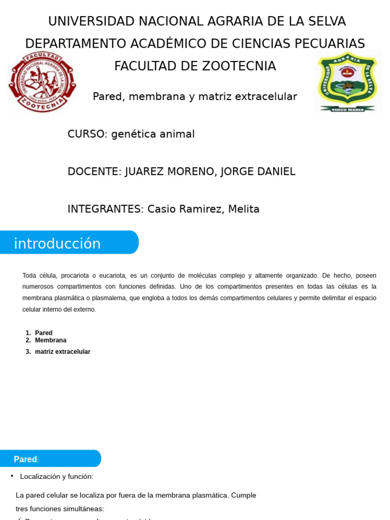 Trabajo de Expocicion de Genetica Animal | PDF | La matriz extracelular ...