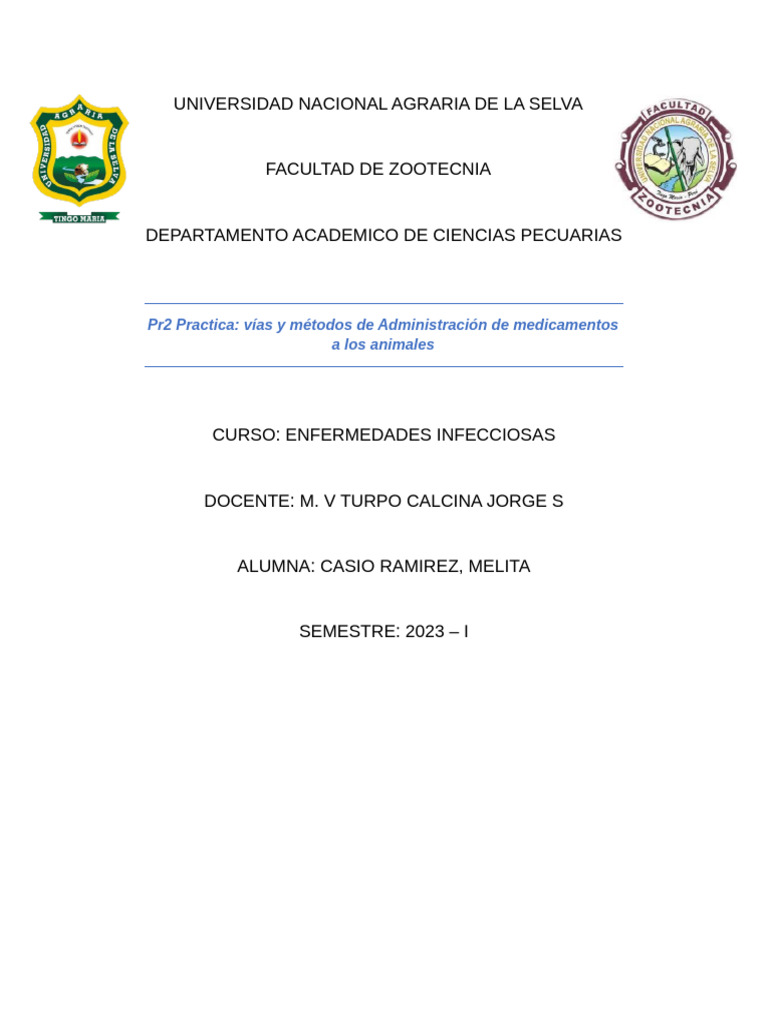 Informe 2 Enfermedades Infecciosas | PDF