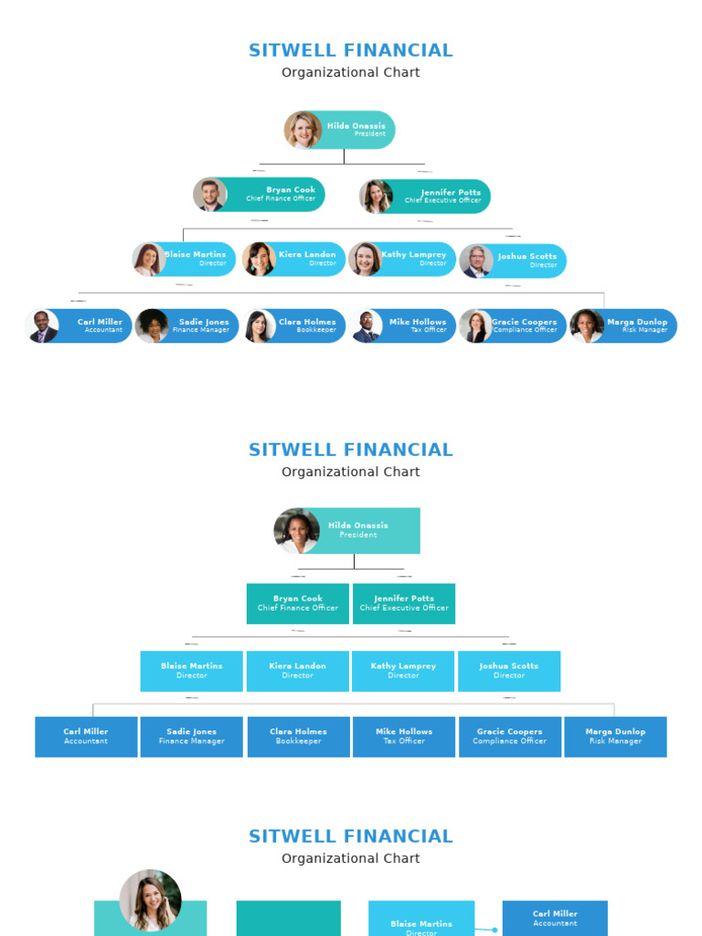 Organizational Chart Visual Charts Presentation in Blue White Teal ...