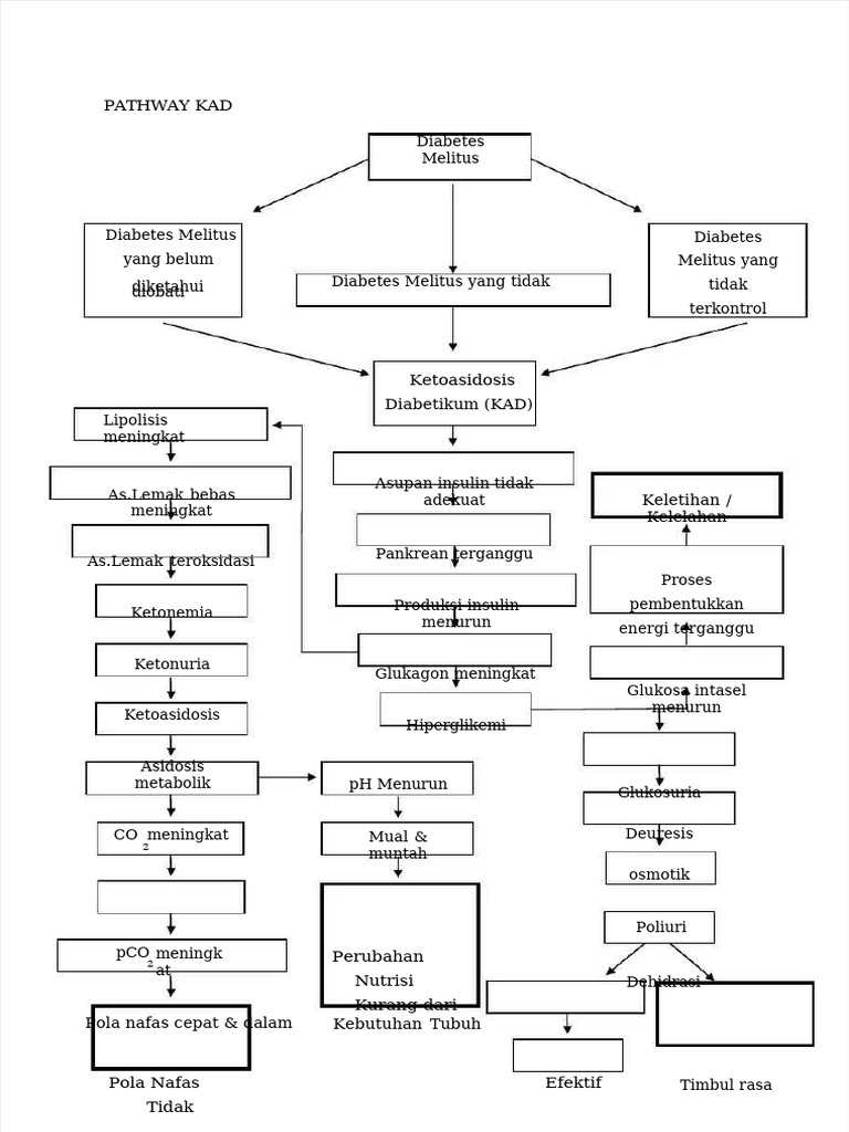 PDF Pathway Kad | PDF
