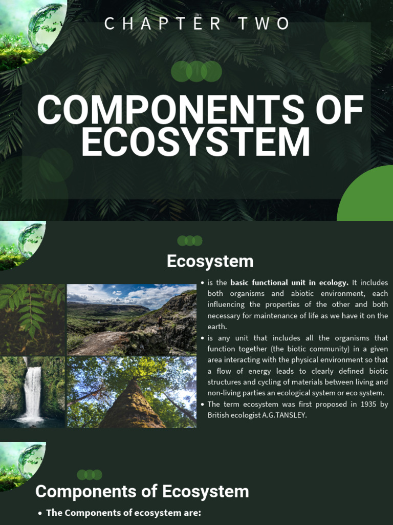 Components-of-Ecosystem | PDF | Ecosystem | Nutrition