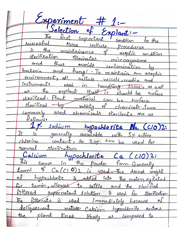 CamScanner Users' Guide | PDF