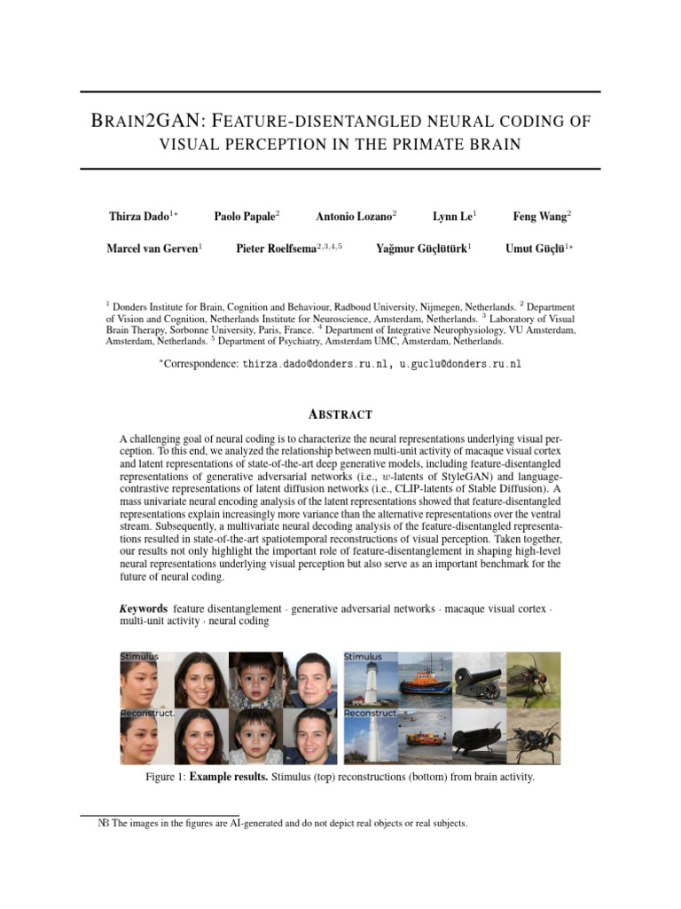 Brain2GAN Feature-Disentangled Neural Coding of VI | PDF | Visual Cortex | Deep Learning