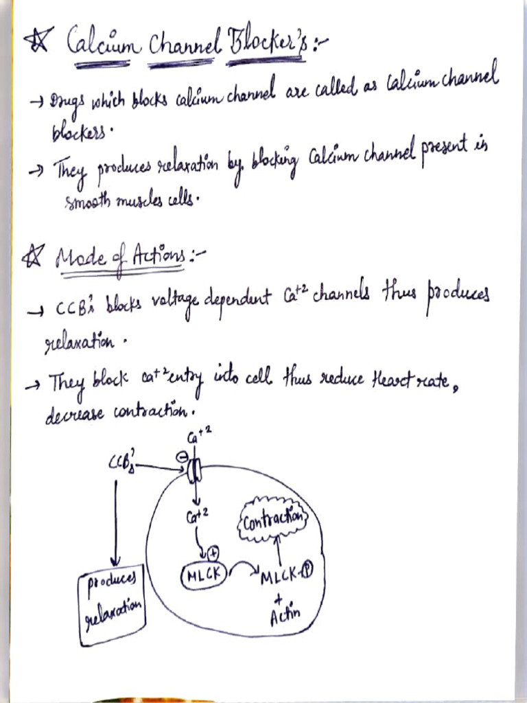 Ca+2 Channel Blockers | PDF