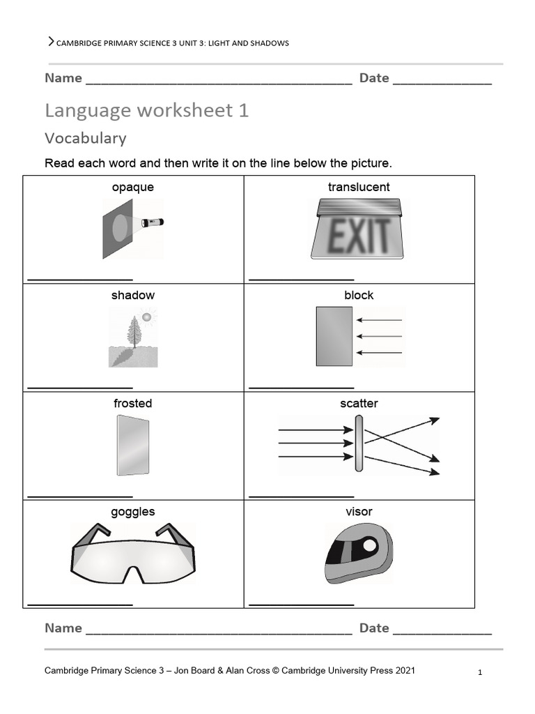 Science Worksheet (Shadows) | PDF