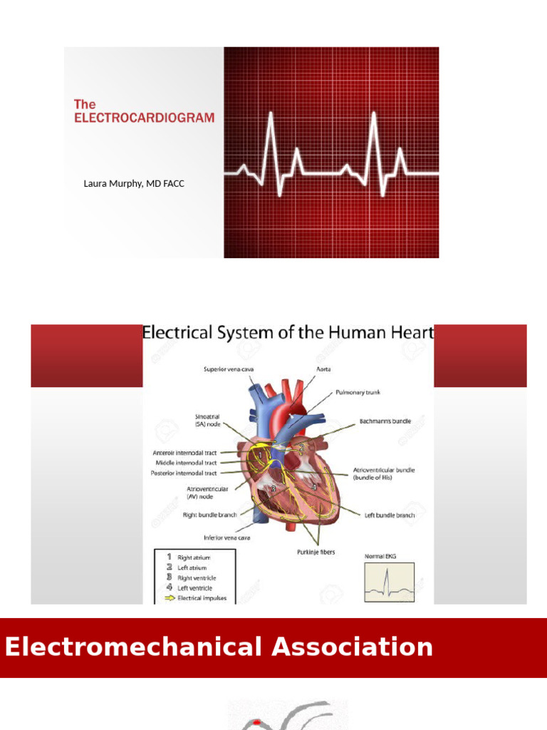 ACLS Precourse Training | PDF | Electrocardiography | Cardiac ...