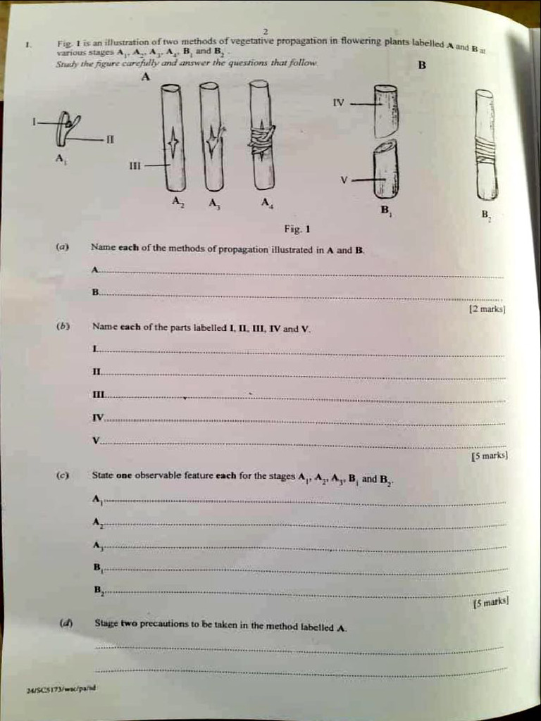 24 Waec Int Science Practical Questions | PDF