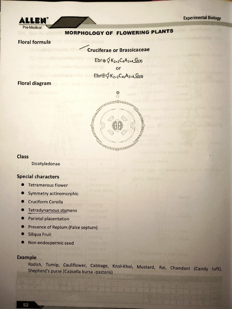 FAMILIES | PDF | Plant Morphology | Branches Of Botany