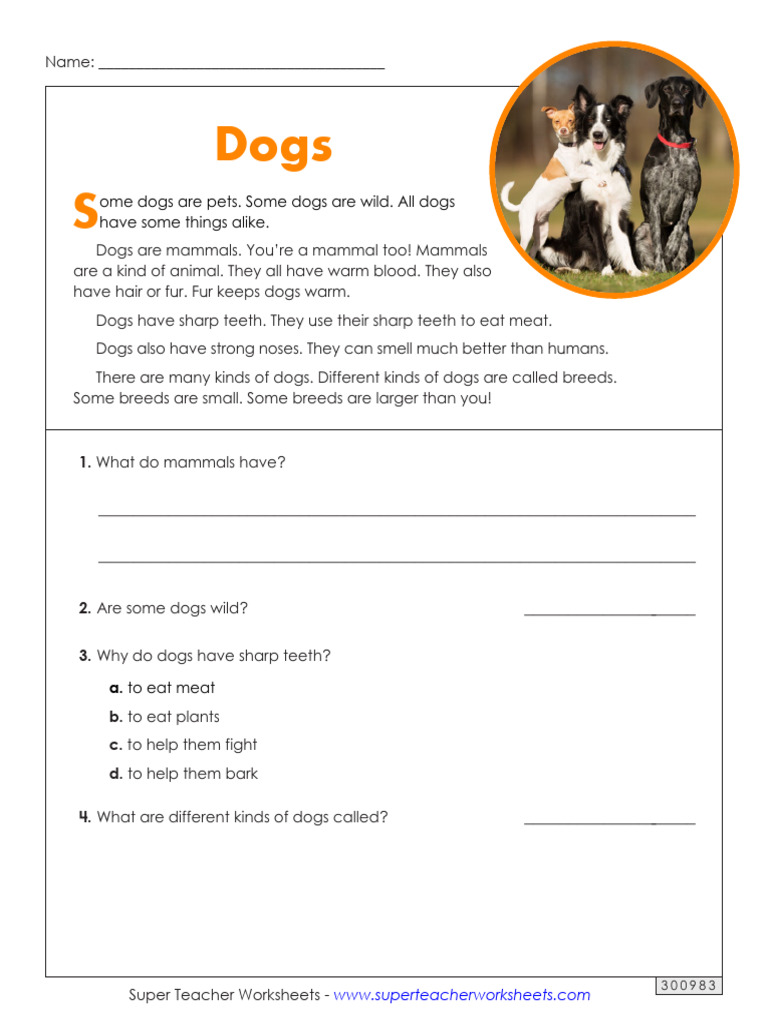 2nd-dogs | PDF