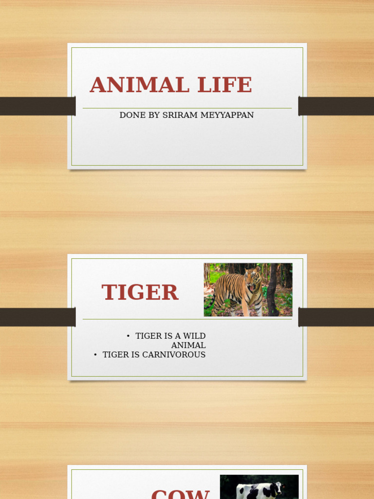 Animal Life | PDF