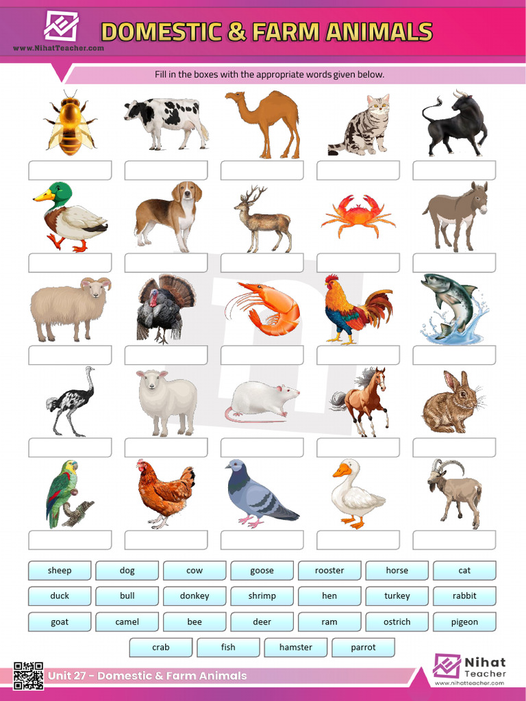 Unit 27 - Domestic & Farm Animals Worksheet 1 | PDF