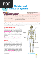The Skeletal System - Skeleton - Living Organisms - KS3 Biology - BBC ...