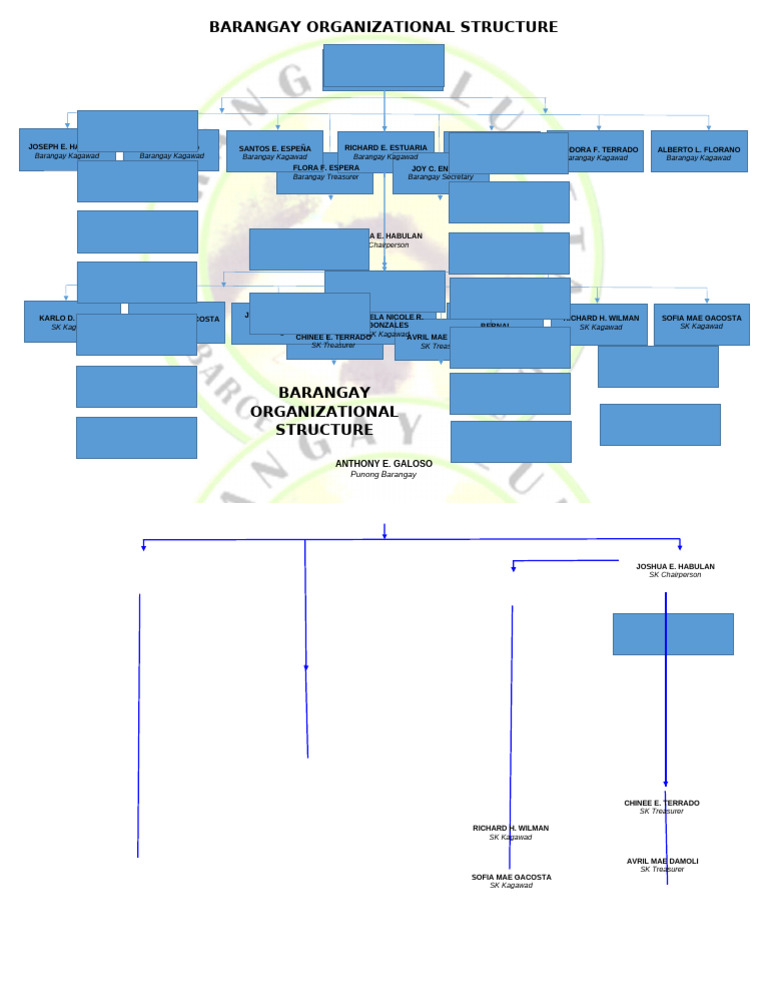 Barangay Organizational Structure | PDF