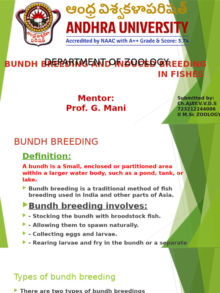Bio Geo Chemical Cycles | PDF | Pituitary Gland | Gonadotropin