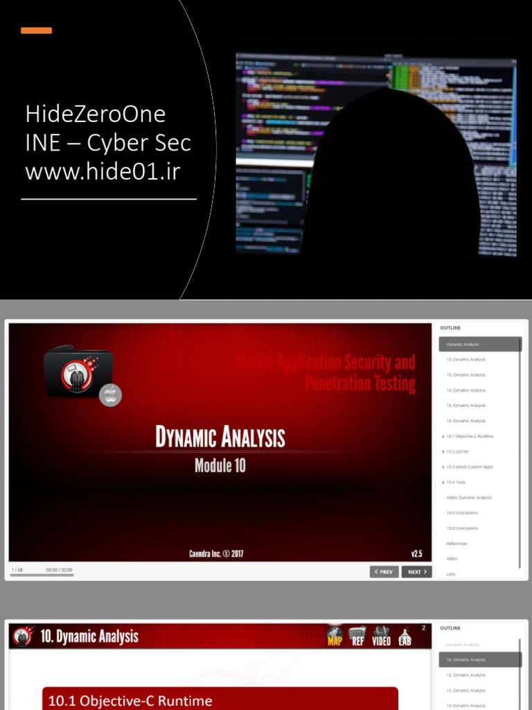 Dynamic Analysis | PDF