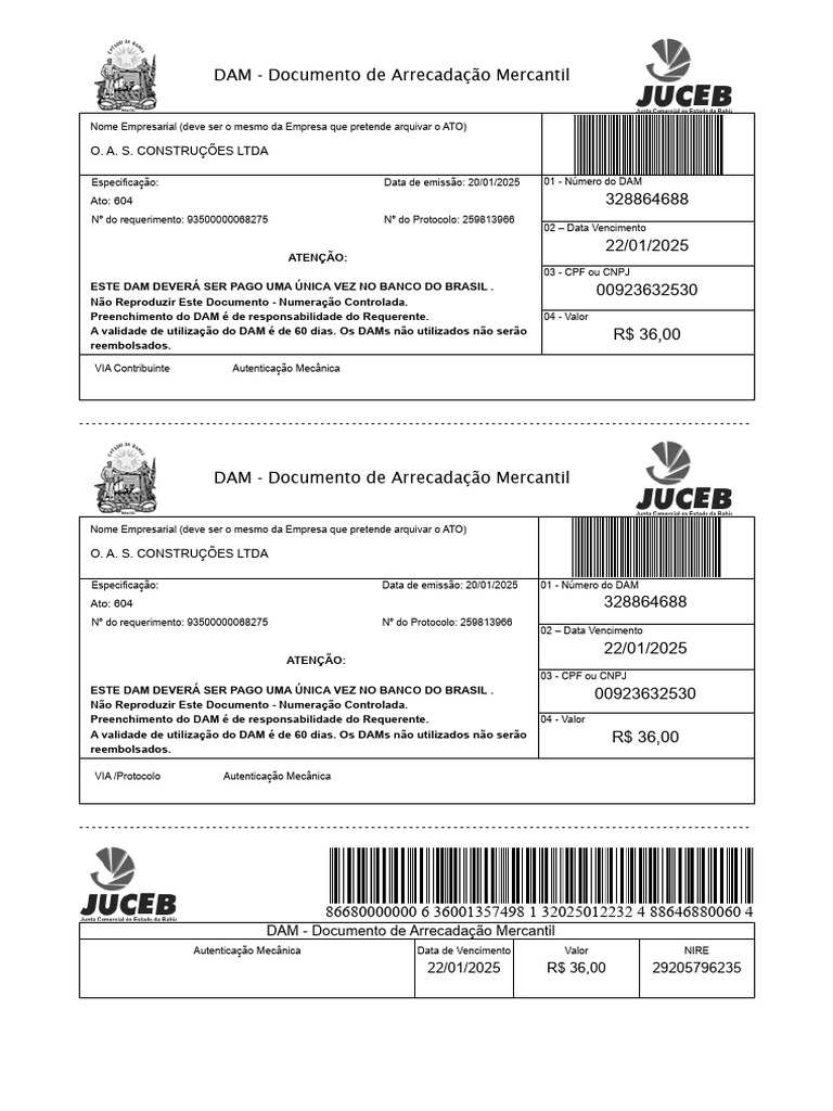 Documento de Pagamento DAM | PDF