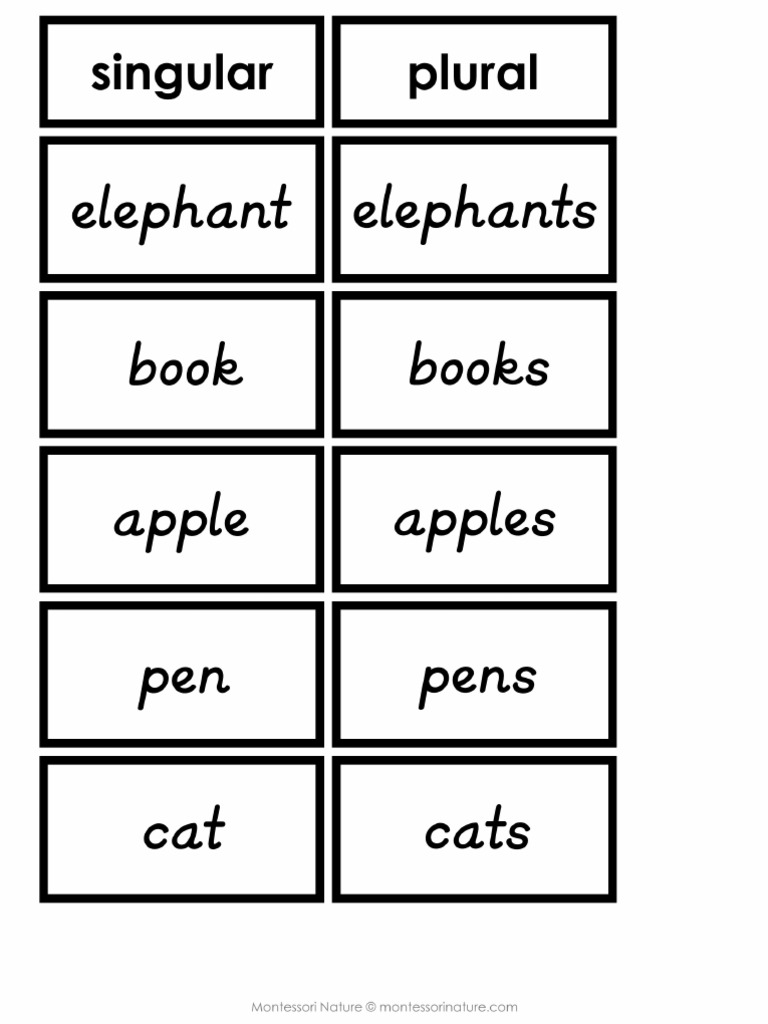 Singular and Plural Nouns Free Language Printable Montessori Nature 3 | PDF