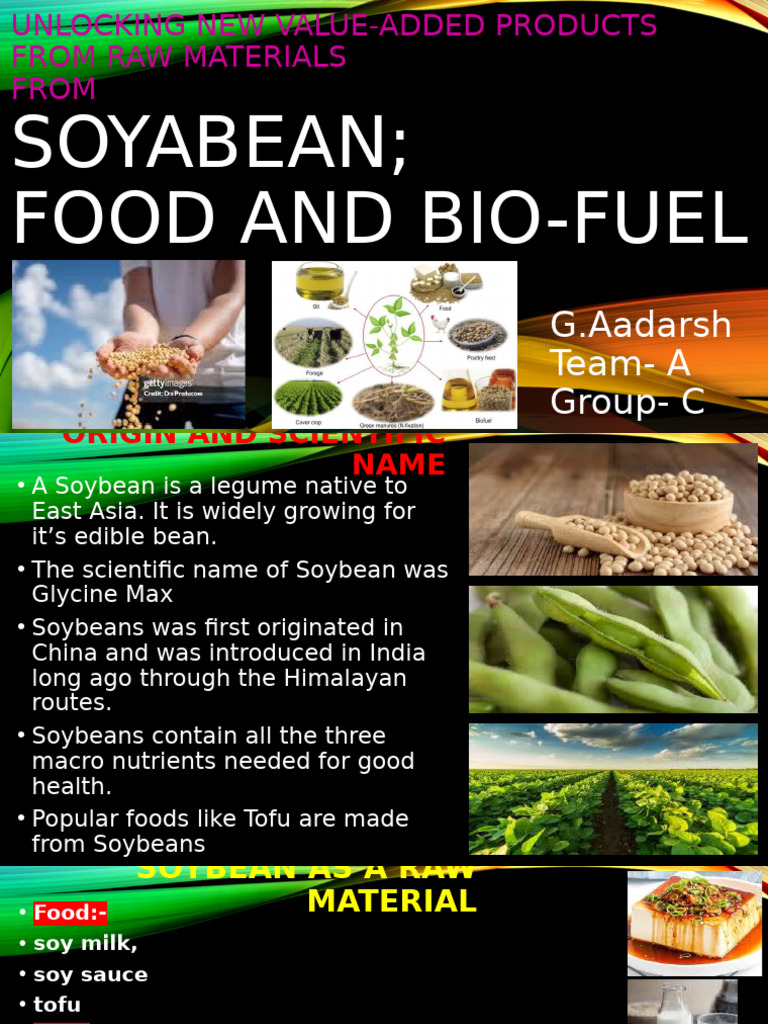 Soybean: Food & Biofuel Innovations | PDF | Soybean | Biodiesel