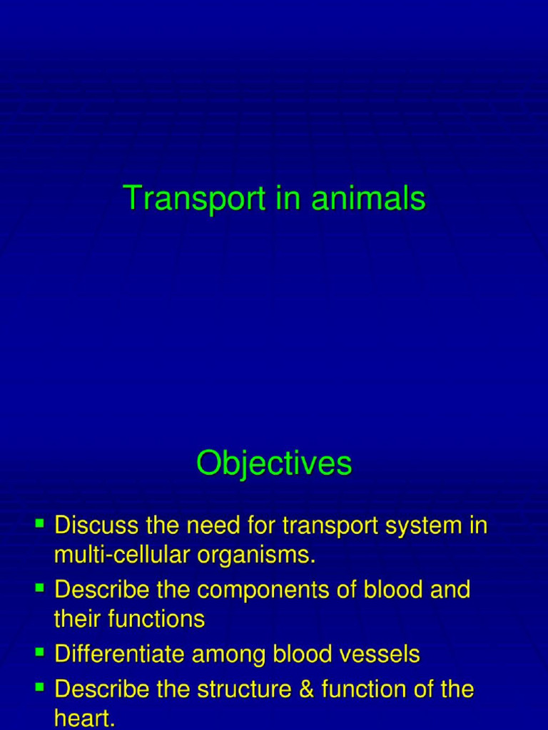 Transport in Animals | PDF