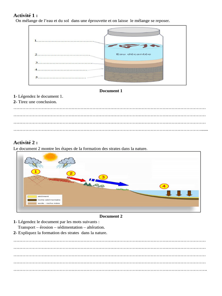 Activités sur la stratigraphie et fossiles | PDF | Strate | Géologie