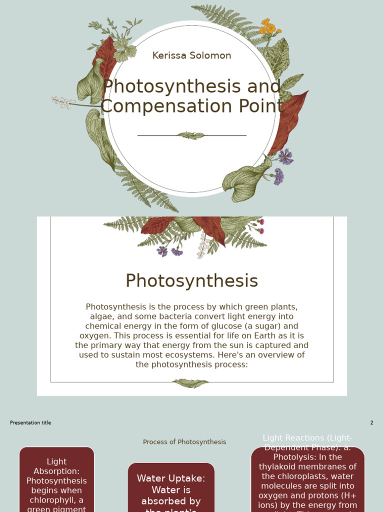 Lesson 4 - Photosynthesis and Compensation Point | PDF | Photosynthesis ...